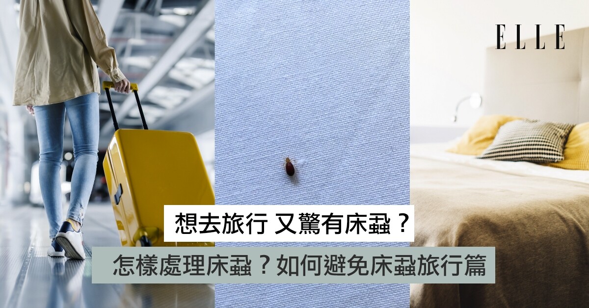 床蝨怎樣處理10個旅行如何避免床蝨貼士外遊怎樣處理床蝨避免床蝨 ELLE HK